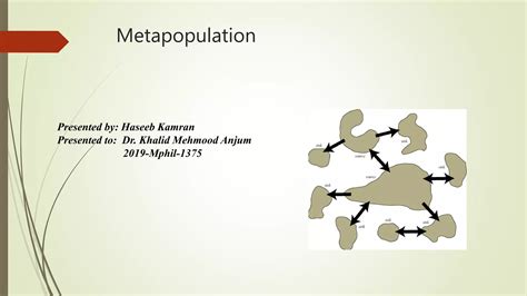 Metapopulation Pptx Geography Science