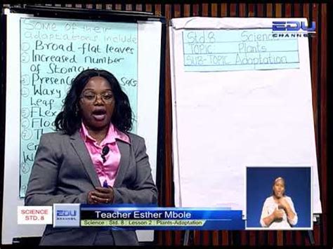 SCIENCE STD 8 YouTube