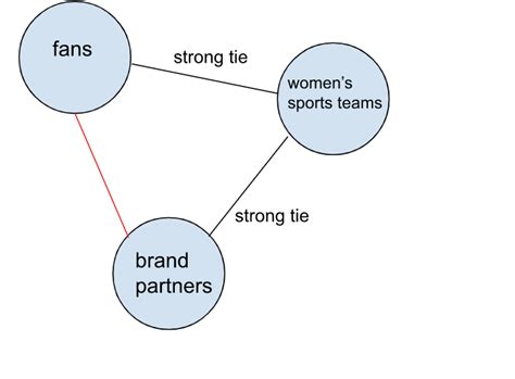 Using Game Theory To Analyze Trends In Womens Sports Fans Networks Course Blog For Info 2040