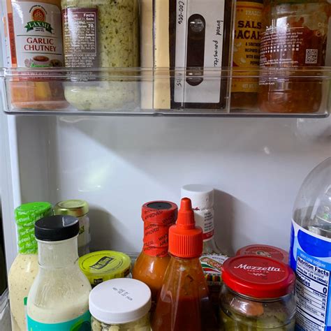 Brood Parasite A Robin Sings At Night