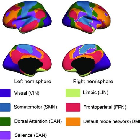 Seven Large Scale Functional Networks Defined By Yeos Atlas The Whole