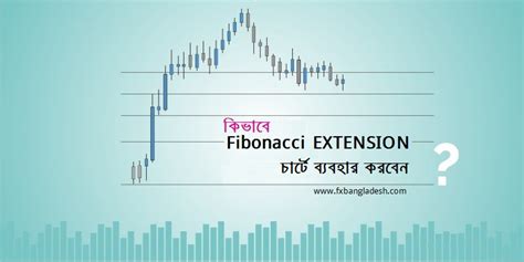 Fibonacci Extensions ফবনচ একসটশন লভল ক কভব আকবন