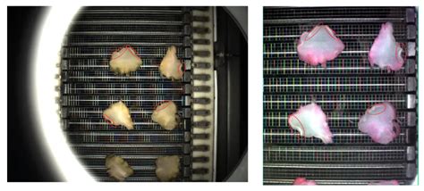 Defect Detection In Food Using Multispectral And High Definition