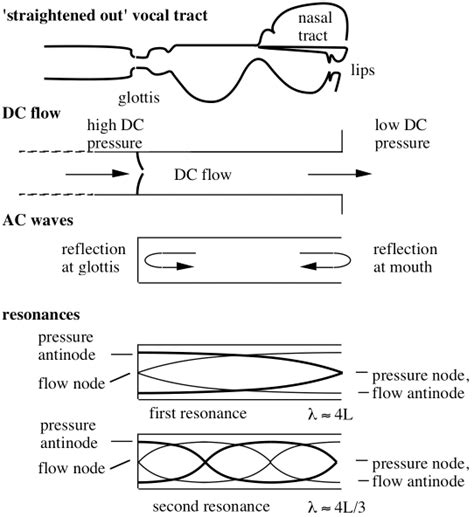 Voice Acoustics An Introduction To The Science Of Speech And Singing