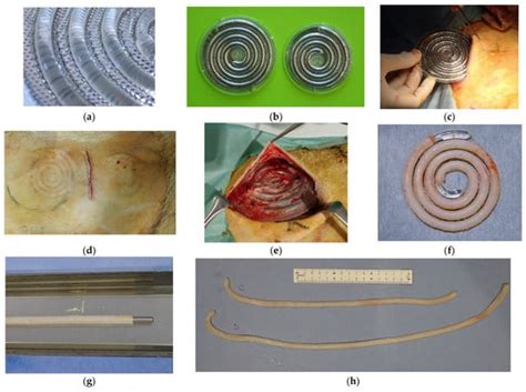 Bioengineering Special Issue The Power Of Models And Simulation Tools In Biomedical And