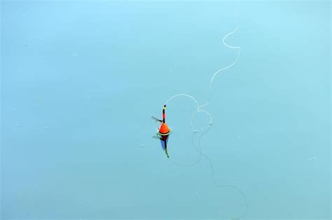 Premium Photo Float In Water