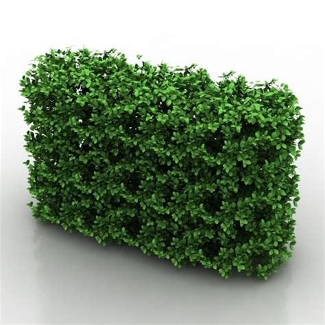 Green Hedge Free 3d Models