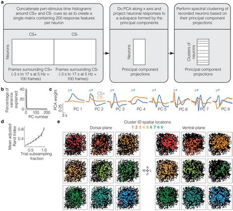 Clustering Analysis And Spatial Locations Of Clusters A Schematic Of