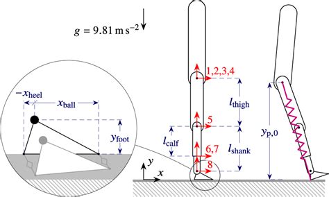 a reduced order closed loop hybrid dynamic model for design and