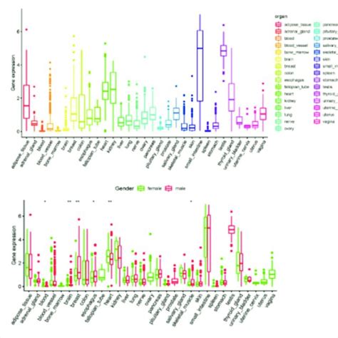 Rna Expression Of Ace2 In Normal Tissues A Ace2 Expression In