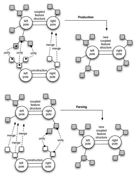 3 During Production The Feature Structures Squares In The Left Pole Download Scientific