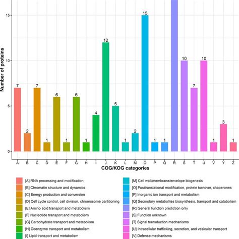 The COG KOG Functional Classification Chart Of Differentially Expressed Download Scientific
