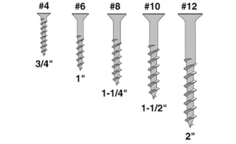 How To Identify A Wood Screw An Insight By Ezzi Enterprises