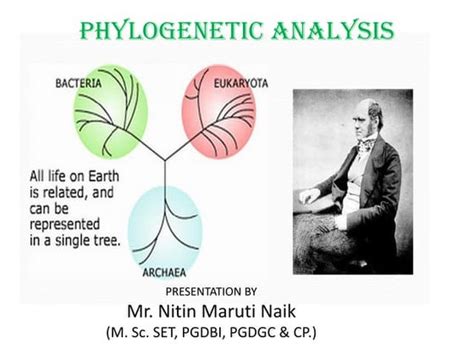 Mega Molecular Evolutionary Genetics Analysis Ppt