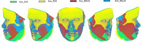 Anthropometric Vs Morphological Facial Analysis A Comparative Overview Pinkmirror Blog
