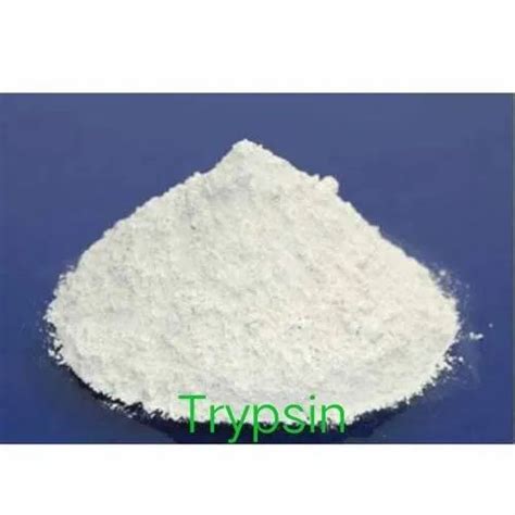 Pharmaceutical Trypsin Enzyme At Best Price In Ahmedabad By G K Pharma ID