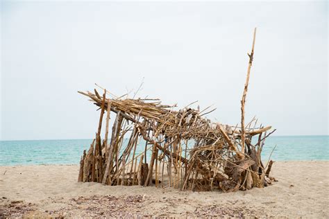 How To Survive On A Desert Island Expert Tips And Strategies