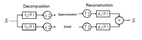 Decomposition And Reconstruction Of Wavelet Transform Iii Removing