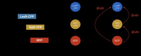 Dynamical Structure Functions Can Be Used To Analyze Synthetic Gene