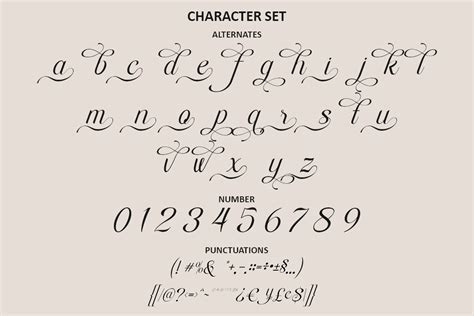 Rapiola Elegant Script Font On Yellow Images Creative Store 143328