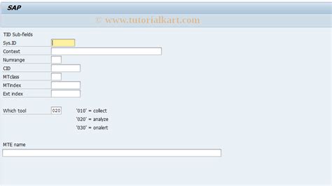 RZ SAP Tcode Start Tools For A TID
