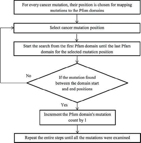 Flowchart For Mapping Mutations To The Protein Domains Download