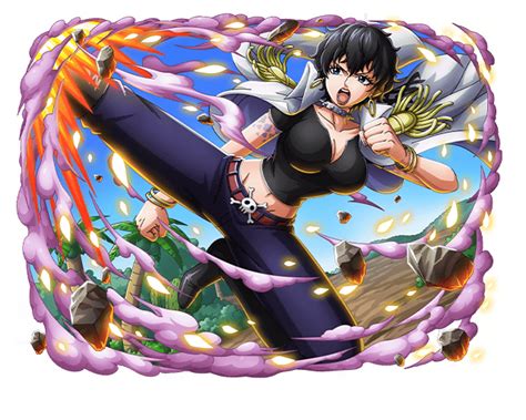 One Piece Treasure Cruise Doll Artworks