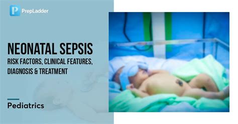 Neonatal Sepsis Risk Factors Diagnosis And Treatment