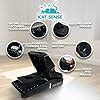 Amazon.com : Kat Sense Rat Traps That Work Indoor & Outdoor for Instant Kill Results, Set of 8 ...