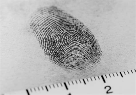 Fingerprint Collection Is Too Often Ignored At Crime Scenes Stidham