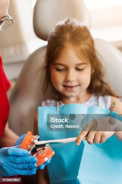 턱 해부학 모델 치아 칫솔질 클로즈업 치과에서 아이들을위한 구강 위생 수업을 가르치는 소아 치과 의사 치과 의사는 칫솔을 칫솔질에 올바르게 사용하는 방법을 아이에게 보여