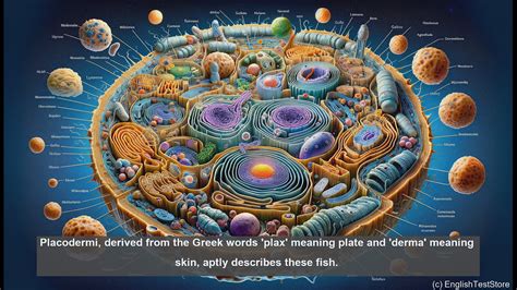 Placodermi In Biology Open Video