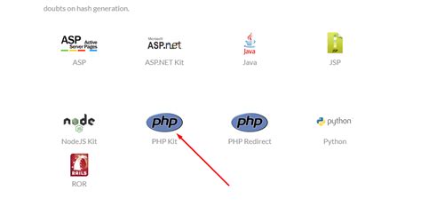 Javascript How To Call A Function On Payumoney Bolt Launch Stack