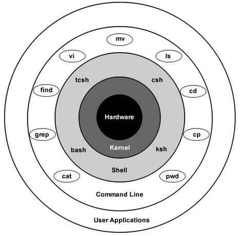 Unix Commands For Every Day Use Regular Bash Commands By Debapriya Basu Medium