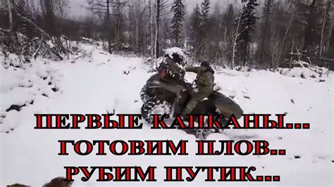 СТАВИМ КАПКАНЫ НА СОБОЛЯ | ПРОГУЛКА ПО ТАЙГЕ .... - YouTube