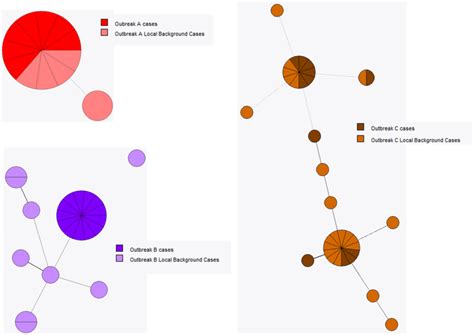 minimum spanning trees from the full seven locus mlva profiles