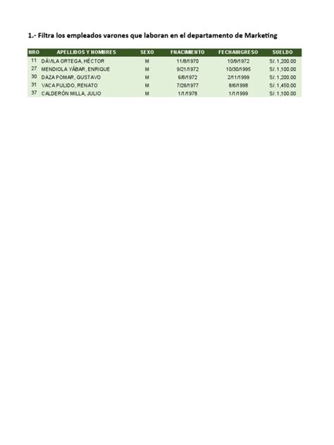 S02 Practica Dirigida De Filtros Excel Pdf
