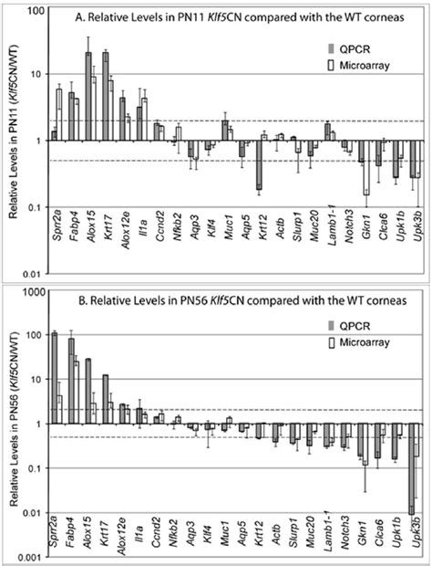 Validation Of Microarray Results By Qpcr Analysis Of The Expression Of Download Scientific