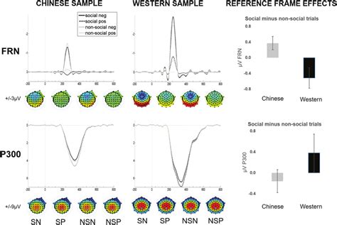 PCA Time Courses Of The Four Feedback Conditions PCA Components In Download Scientific Diagram