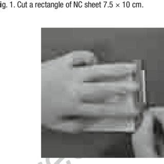 Reference Line In One Of The Borders Download Scientific Diagram