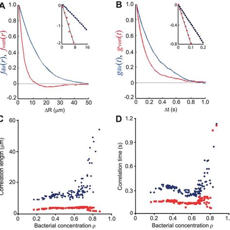 the spatial and temporal correlation functions a an example for ρ