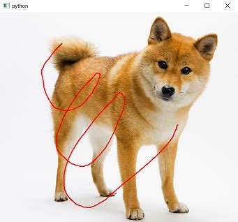 Python Drawing On Top Of Image In PyQt Tracing The Mouse Stack Overflow