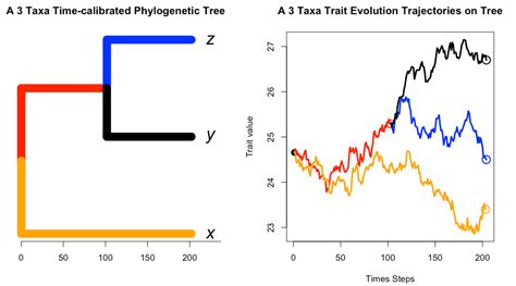 Assessing Asymmetrical Rates In Multivariate Phylogenetic Trait Evolution An Extension Of