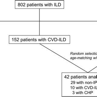 Flow Chart Of Patient Selection Process CHP Chronic Hypersensitivity Download Scientific