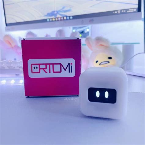 Ortomi Robot Buddy Etsy
