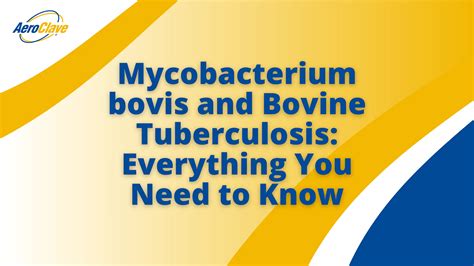Mycobacterium Bovis Understanding Its Impact