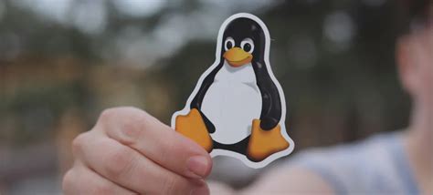 Why Linux Servers Make Sense For Small Business A Cost And Practical Guide Networkgenix