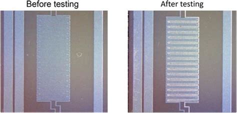 Calibration And Thermal Test Results Of Prototype Bolometer Sensors For Iter Fusion Reactor