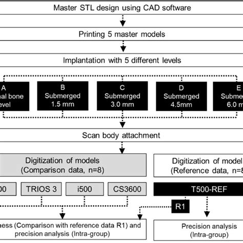 Overall Experimental Workflow Of This Study Showing The Scanning