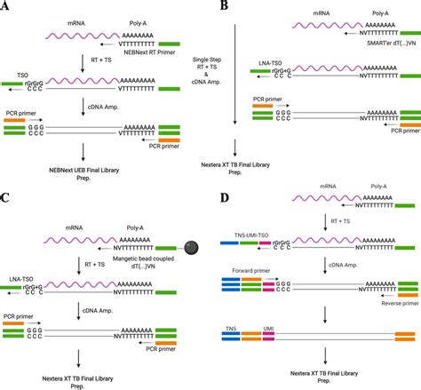 Illustration Of The Four ScRNA Seq Protocols Applied In This Study A Download Scientific